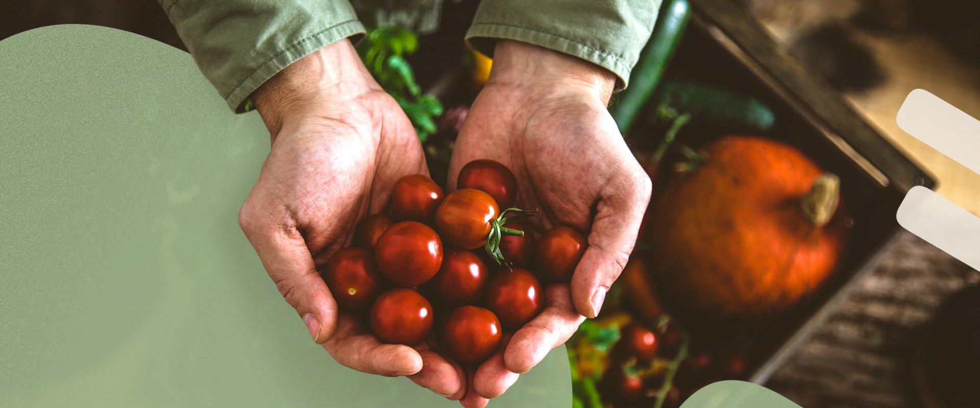 Sustainable Food Practices: How to Eat for the Planet and Your Health