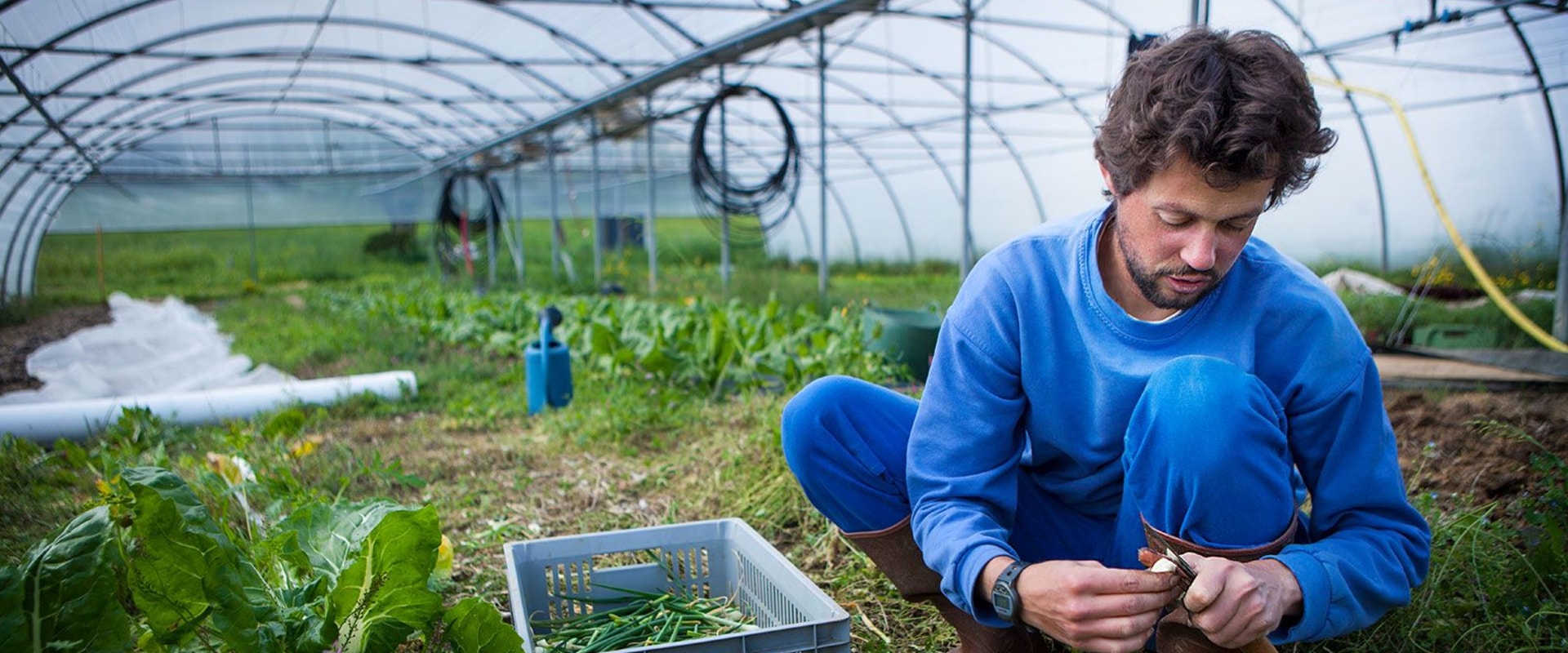 Sustainable Food Production: A Key Solution for Environmental Damage